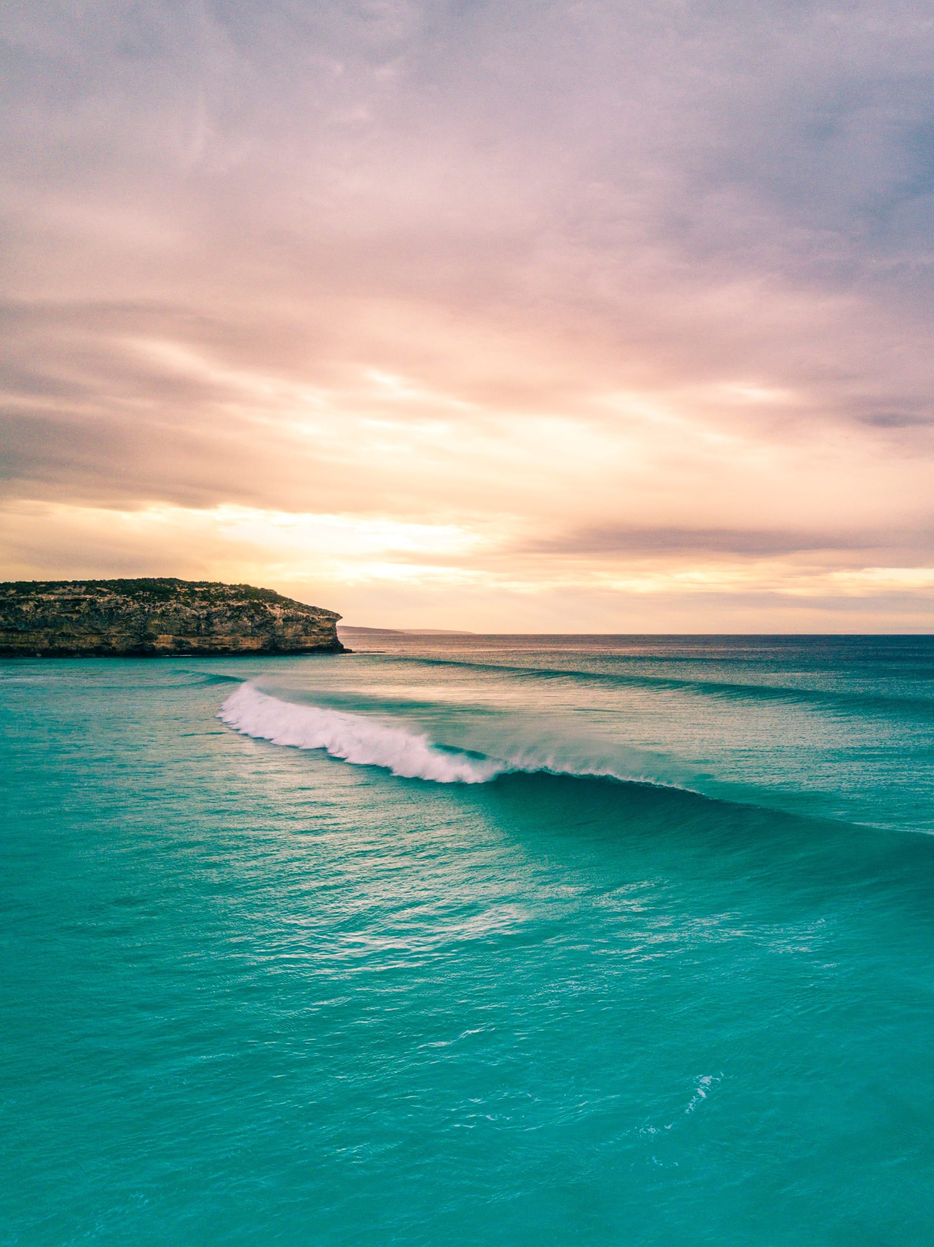 How to bid | Travel Auctions