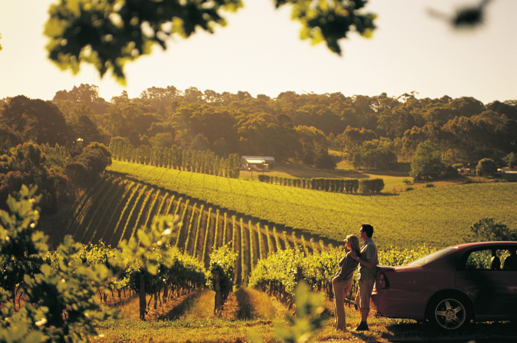 Keen to work with us? | Travel Auctions