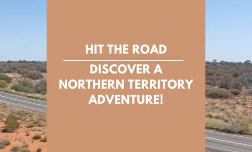 Tips & Travel | Travel Auctions