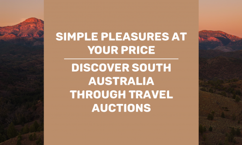 Tips & Travel | Travel Auctions