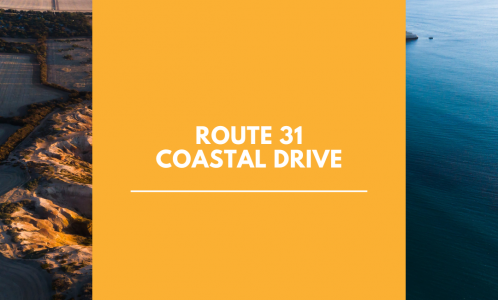 Tips & Travel | Travel Auctions