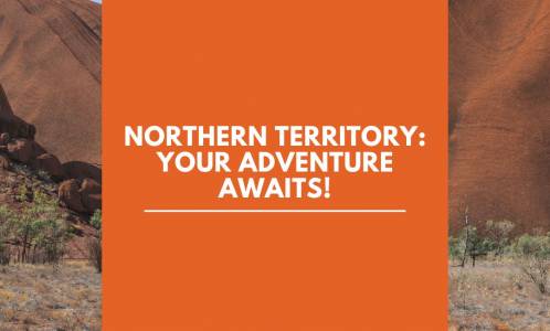 Tips & Travel | Travel Auctions