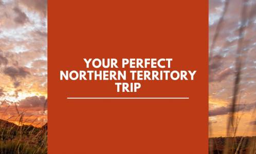 Tips & Travel | Travel Auctions