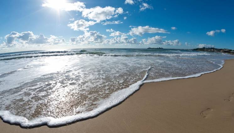 Ocean Boulevard Apartments, Alexandra Heads | Travel Auctions